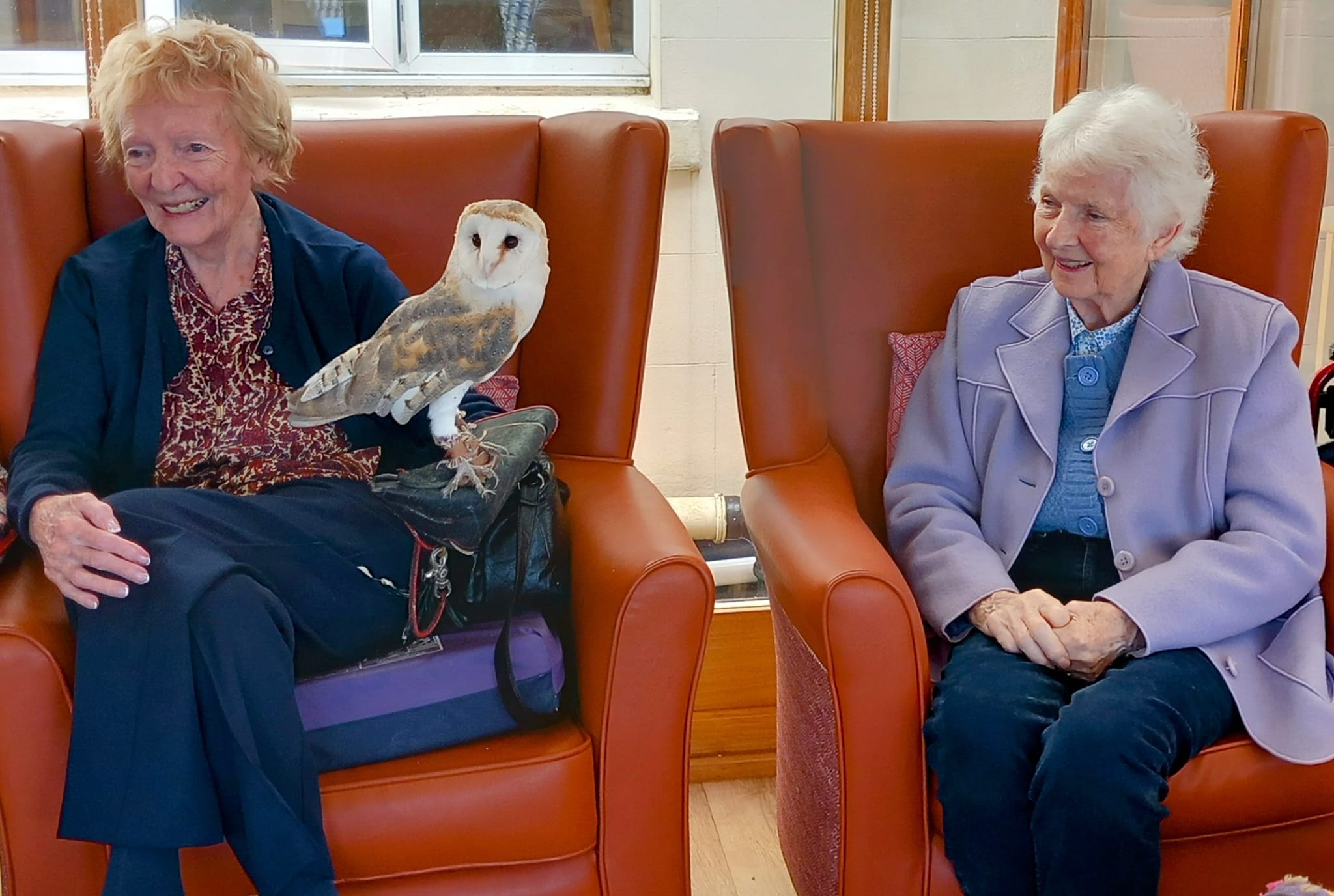 A Feathered (and Furry!) Visit from The Owl Man | Abbeyfield Hoylake ...